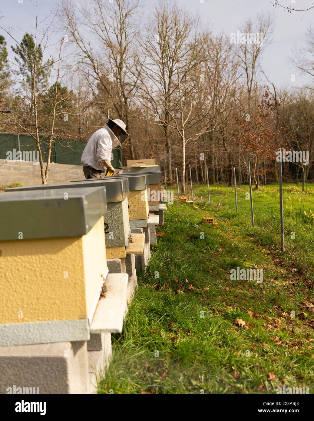 Keeper of the hives Stock Photo - Alamy