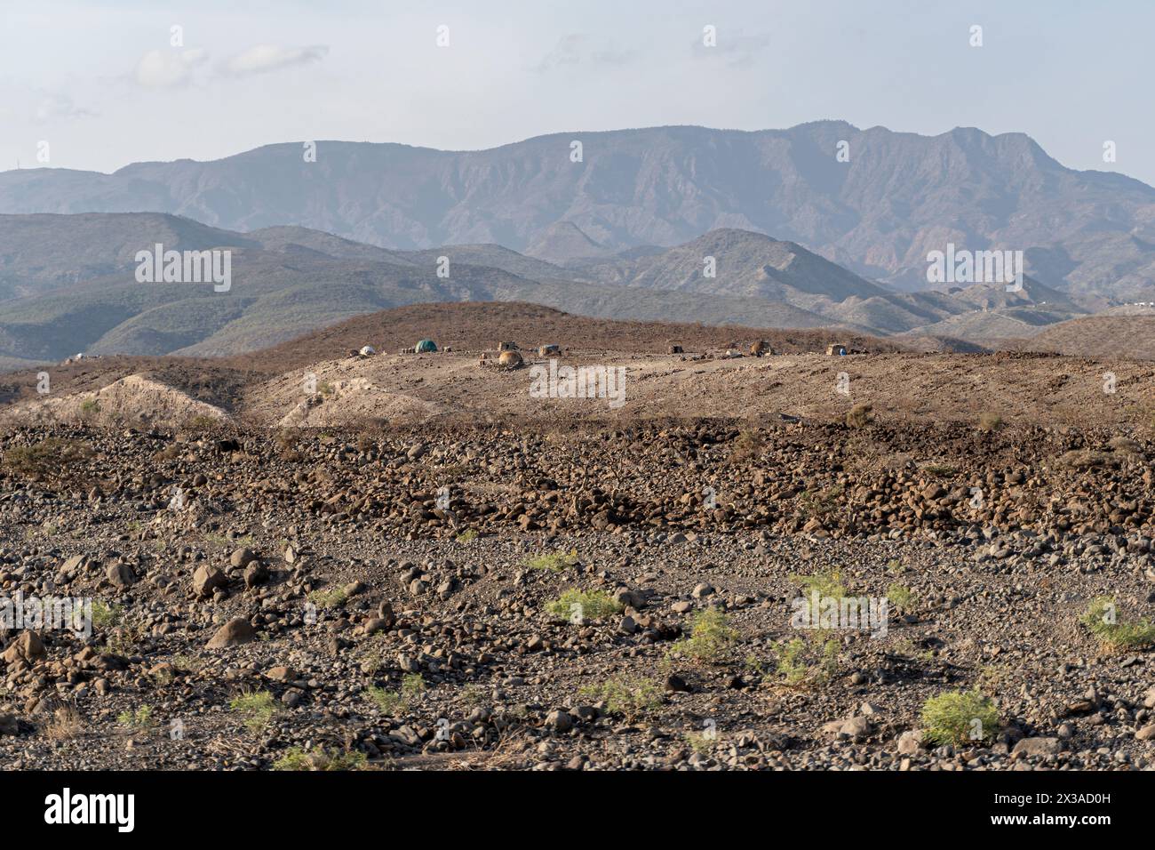 Desert camp of Afar nomads Djibouti, Africa Stock Photo - Alamy