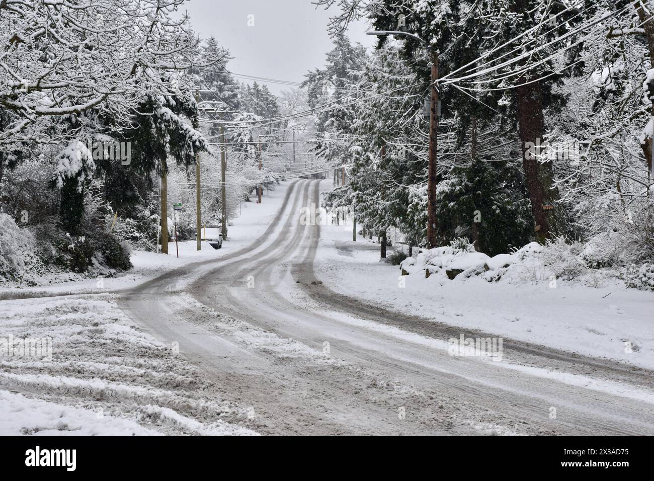 Outdoors after snowstorm, winter wonderland, quiet after snowfall Stock ...