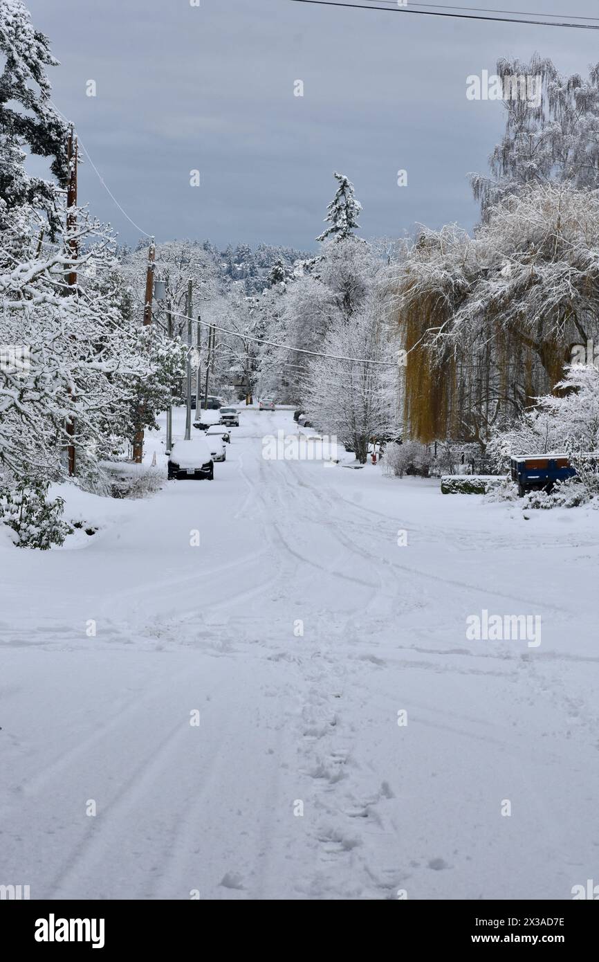 Outdoors after snowstorm, winter wonderland, quiet after snowfall Stock ...