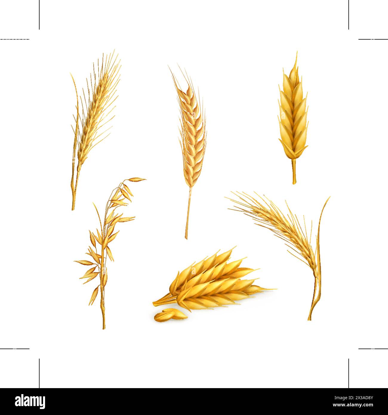 Sheaf vector vectors hi-res stock photography and images - Alamy
