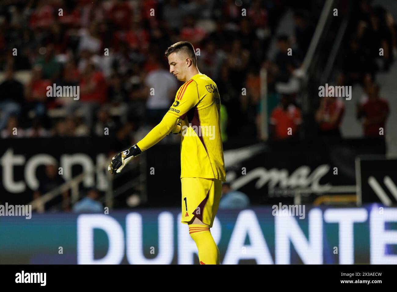 Anatoliy Trubin during Liga Portugal game between SC Farense and SL ...