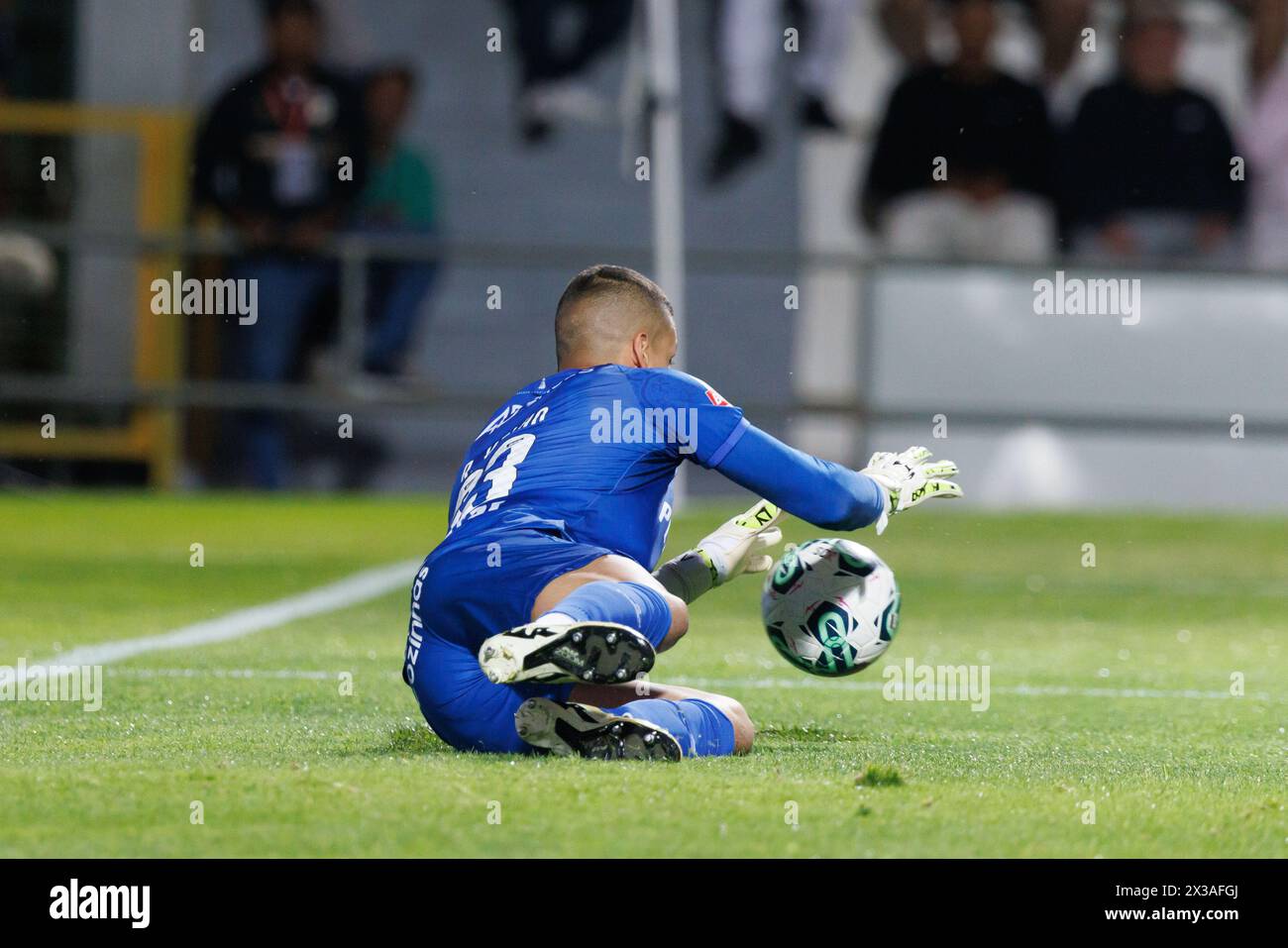 Ricardo Velho during Liga Portugal game between SC Farense and SL ...
