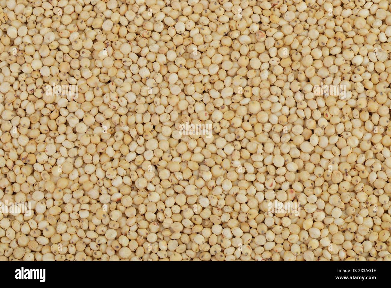 background of sorghum seeds. Top view. Flat lay Stock Photo - Alamy
