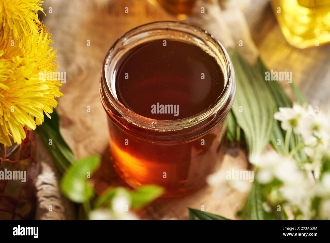 A jar of ribwort plantain syrup for cough with fresh leaves on a table ...