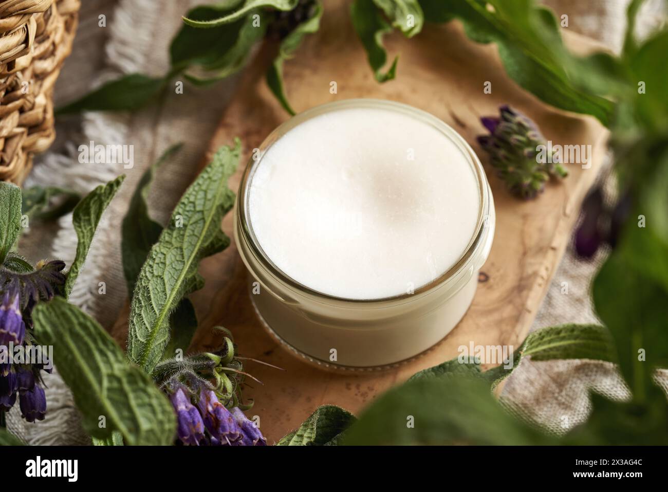 Comfrey root ointment in a glass jar with fresh blooming symphytum ...