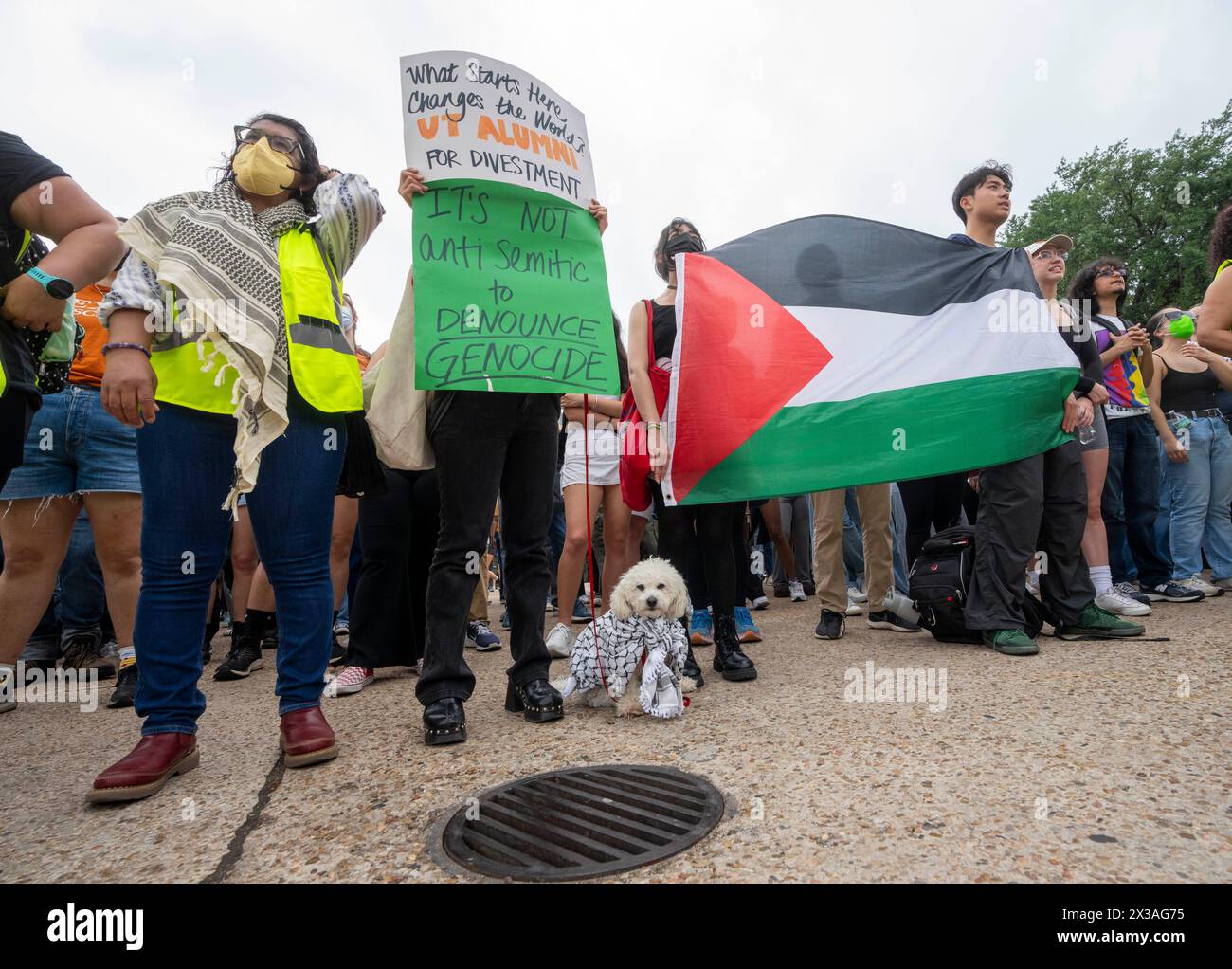 Pro palestine protests texas 2024 hi-res stock photography and images ...