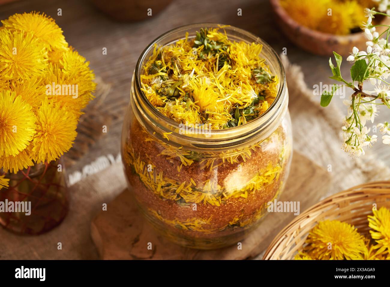 Preparation of dandelion syrup from fresh yellow blossoms and cane ...