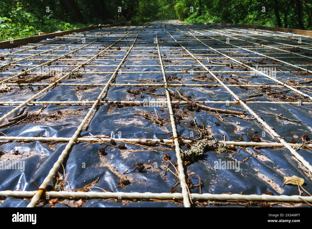 Construction of bicycle paths. Creating a sidewalk in the forest ...