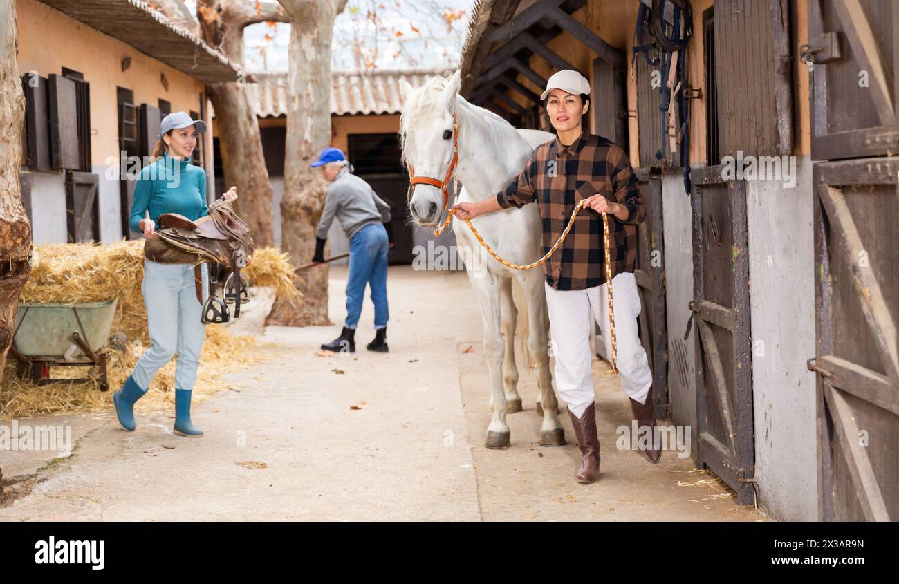 Backyard of the stables on typical day - horse walking Stock Photo - Alamy