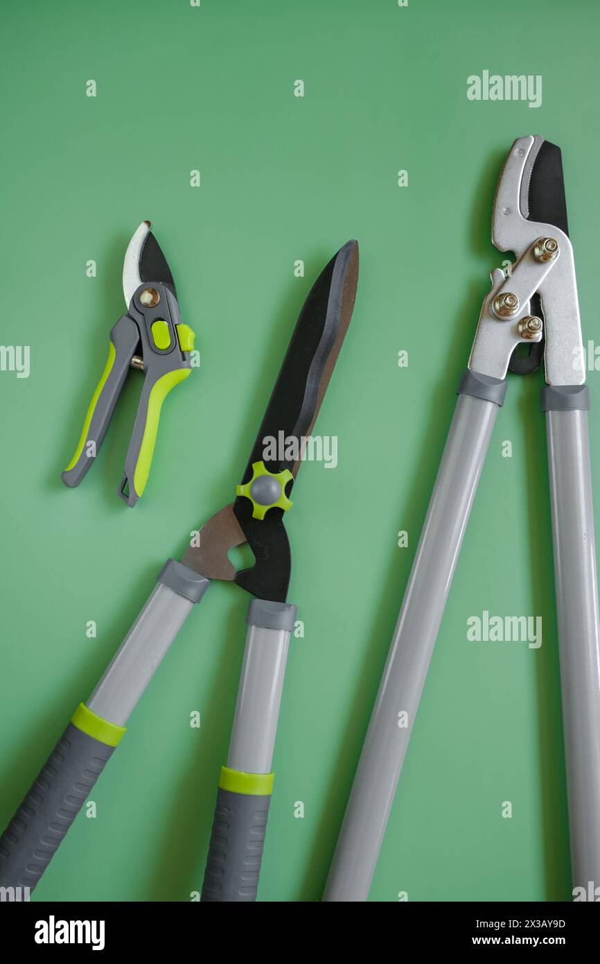 Secateurs, loppers, and hedge trimmers set.Garden tools for topiary ...