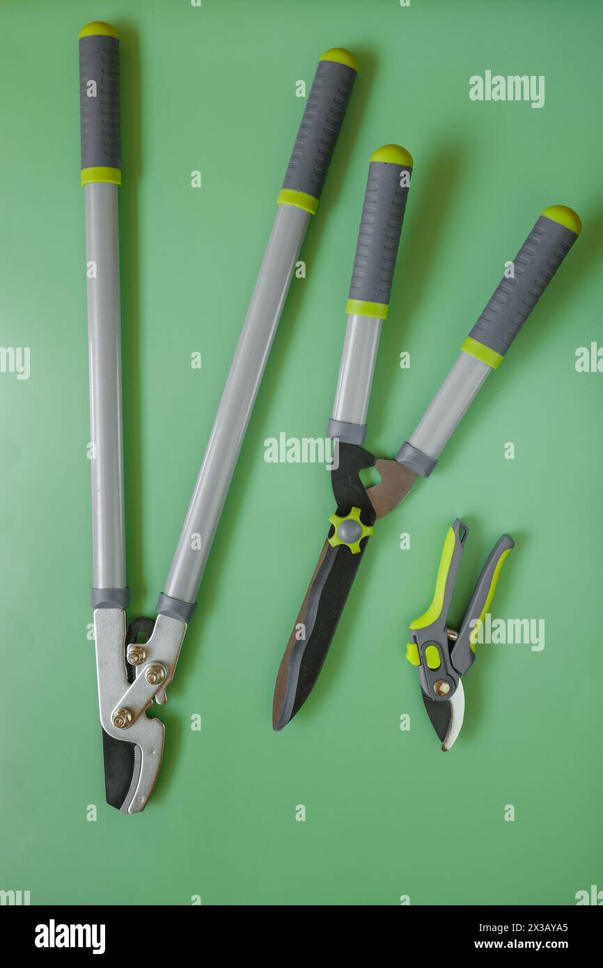 Secateurs, loppers, and hedge trimmers.Garden tools for topiary cutting ...