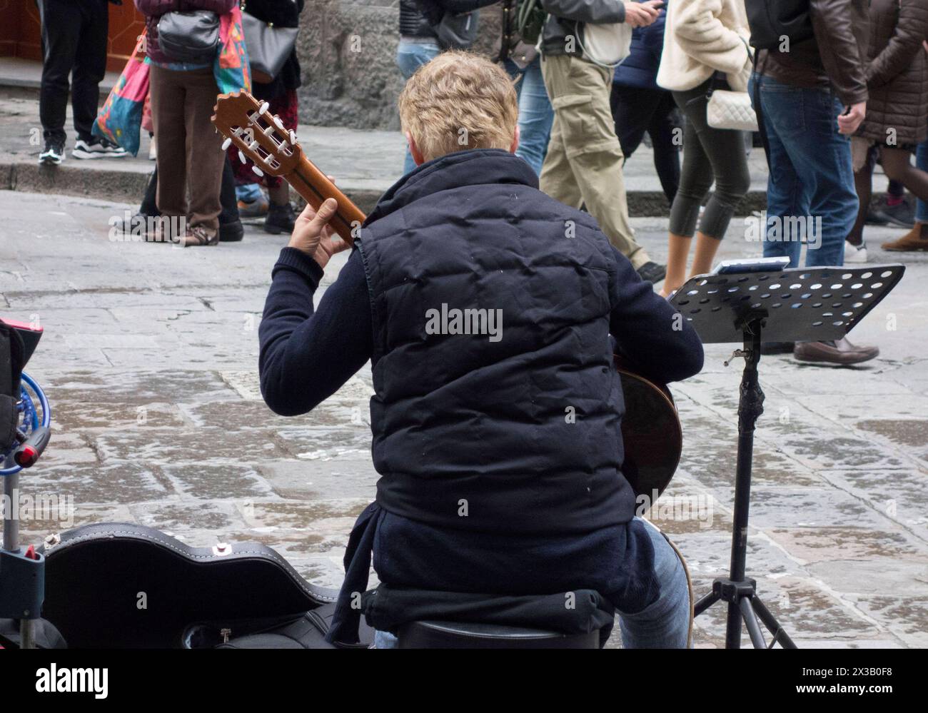 playing the guitar, a stringed instrument, musical instrument in art ...