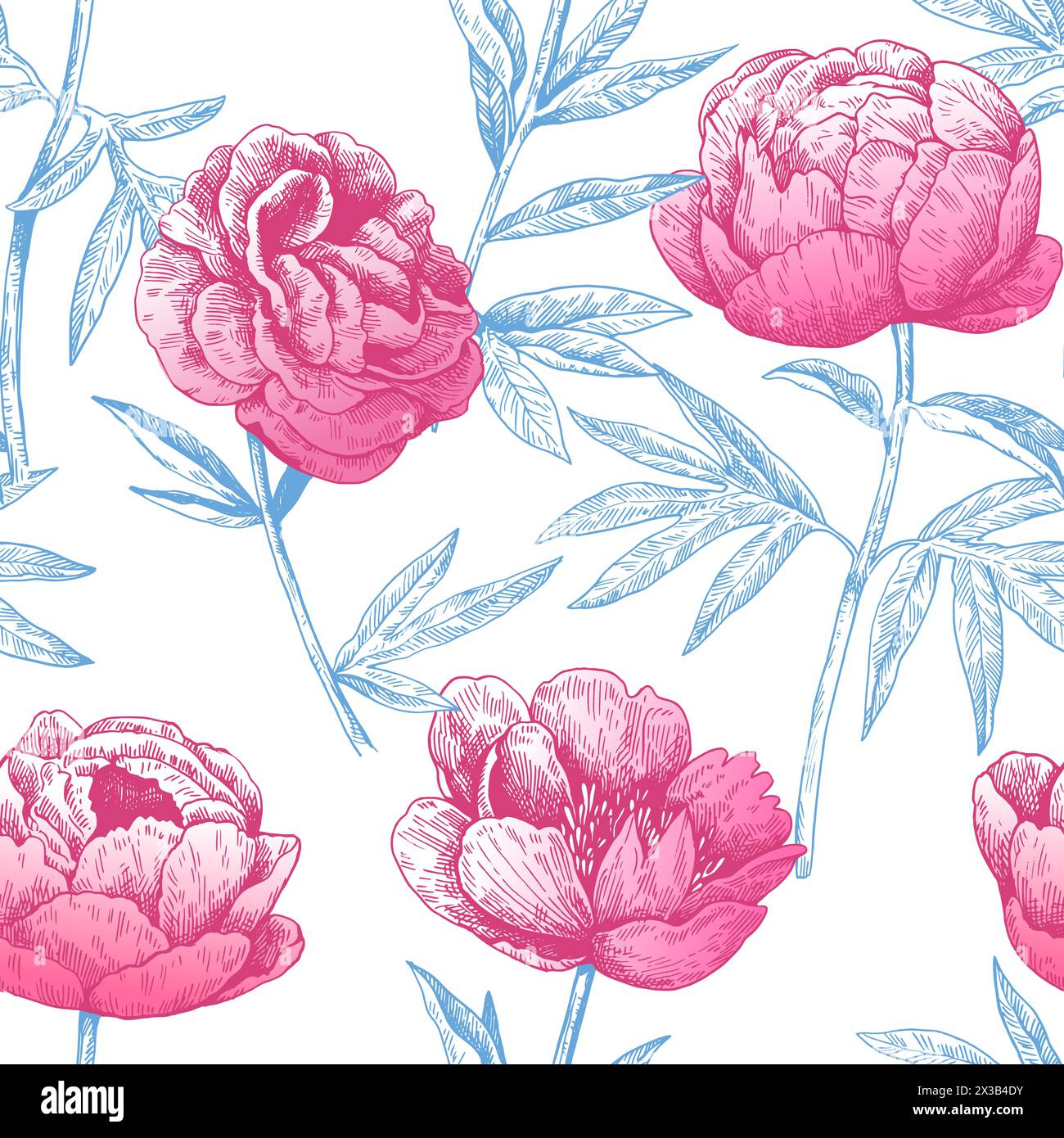 White peony cut out Stock Vector Images - Alamy