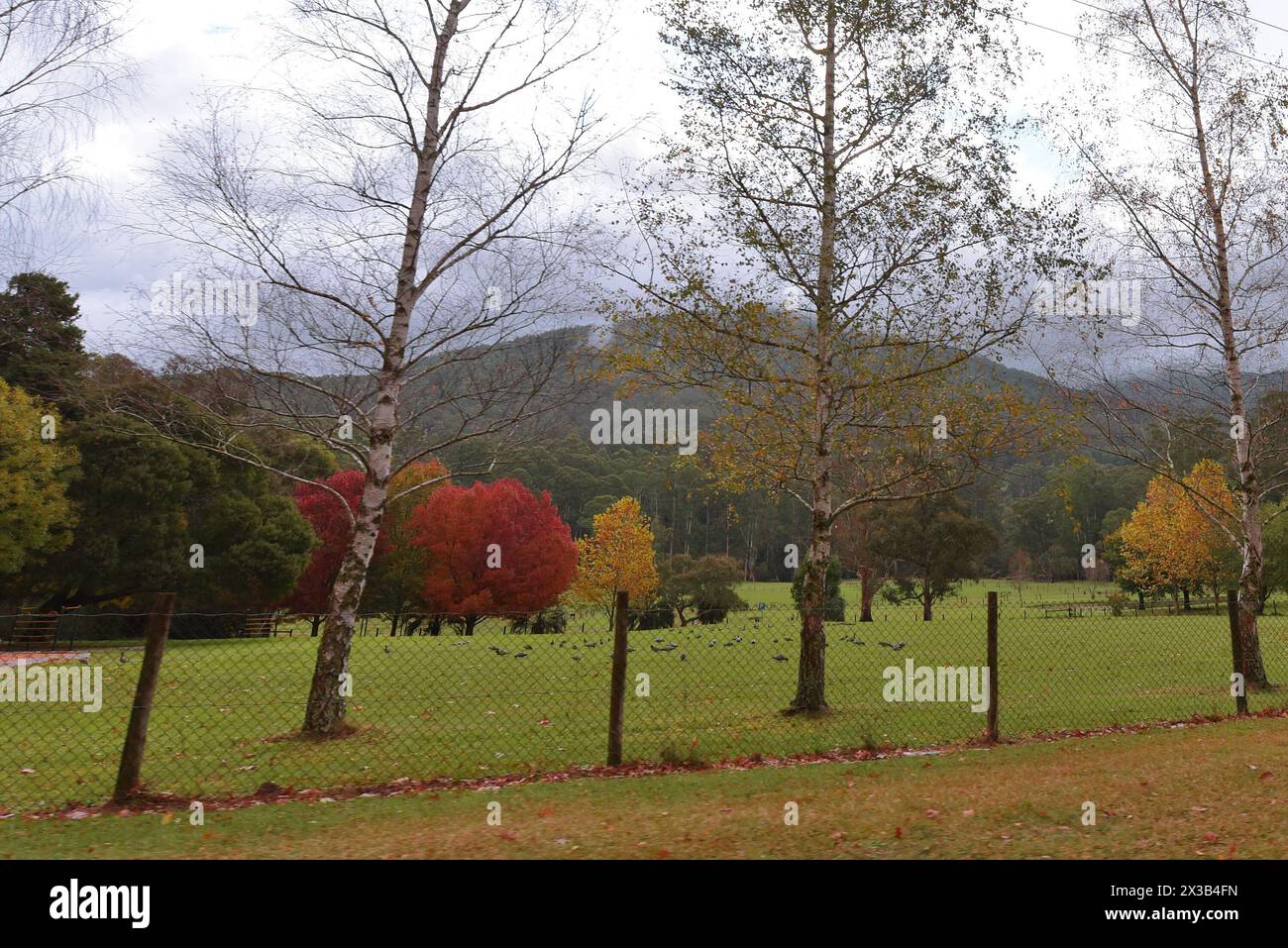 Melnourne, Victoria, Australia. 25th Apr, 2024. People visiting at ...