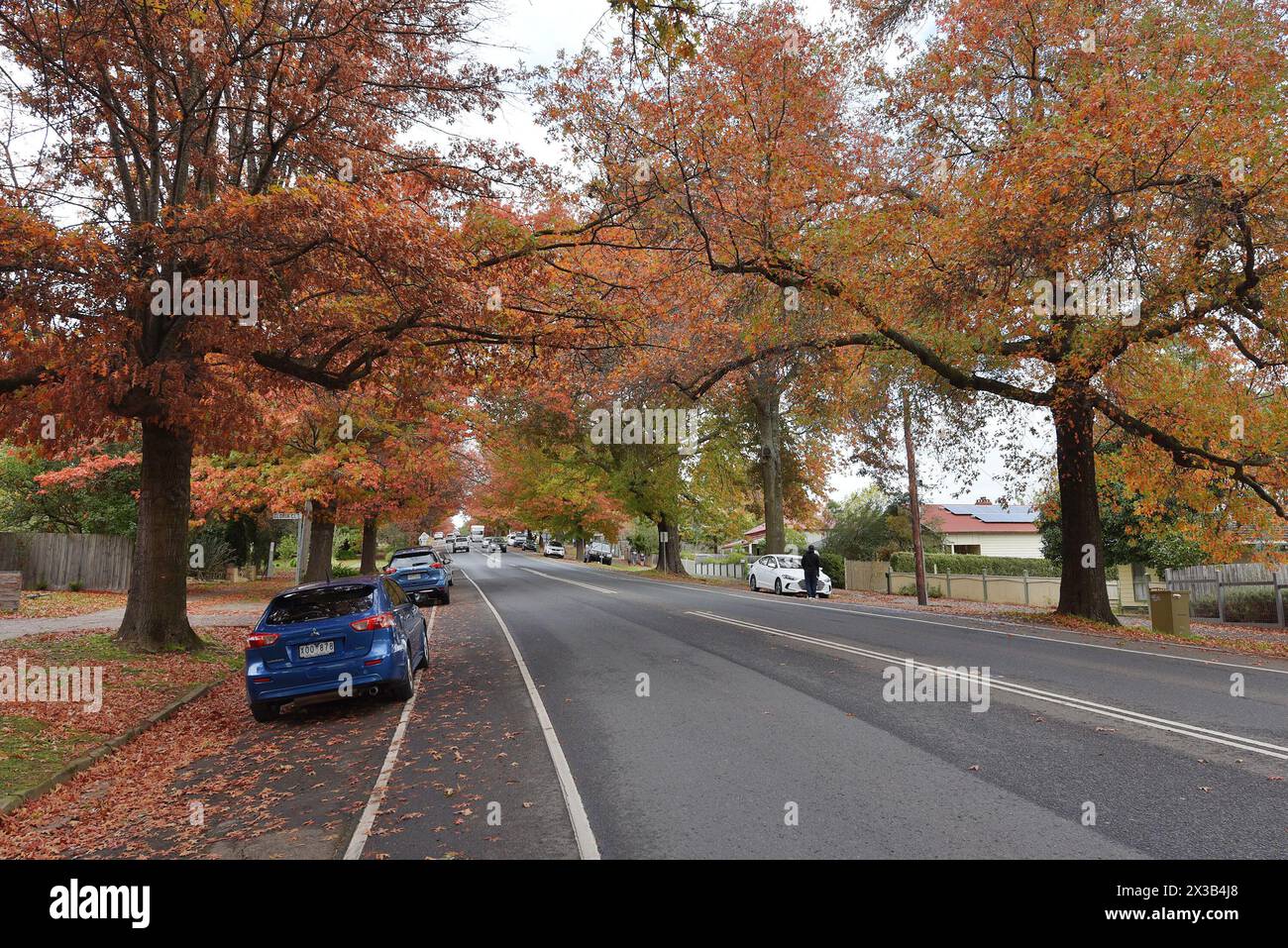 Melnourne, Victoria, Australia. 25th Apr, 2024. People visiting at ...