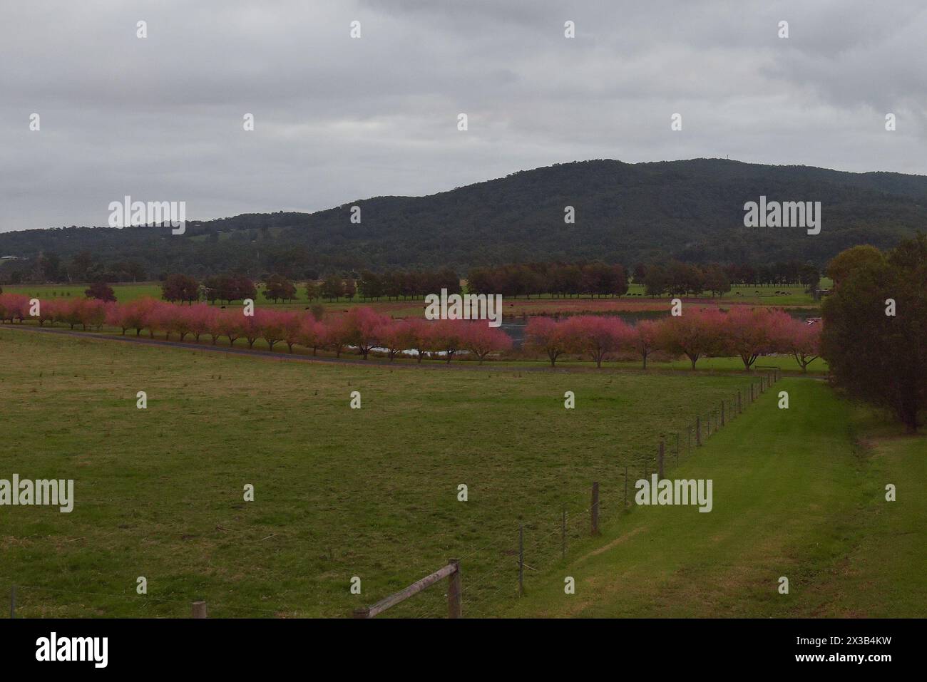 Melnourne, Victoria, Australia. 25th Apr, 2024. People visiting at ...