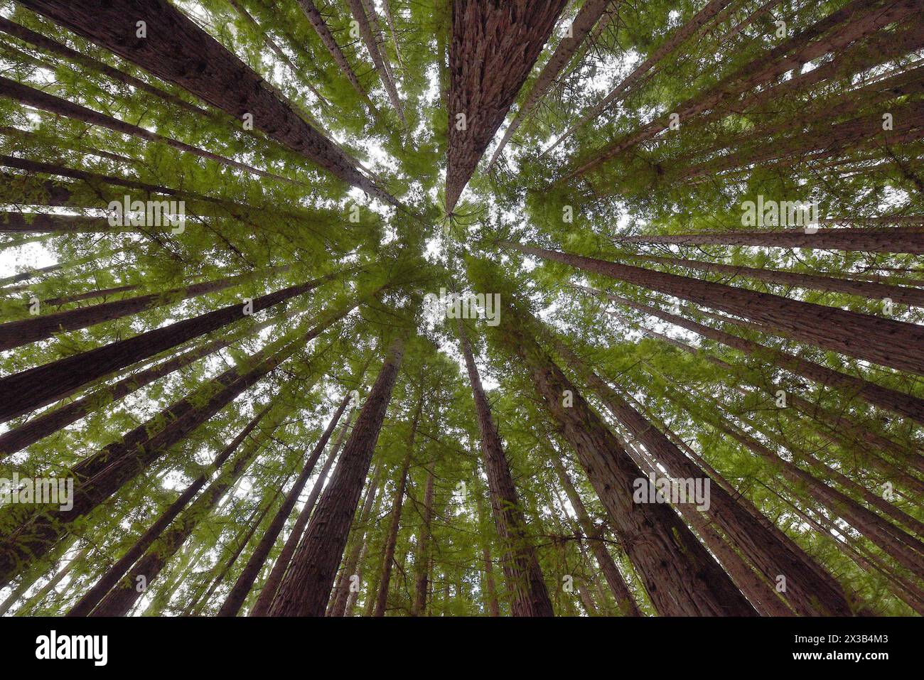 Melnourne, Victoria, Australia. 25th Apr, 2024. People visiting at ...
