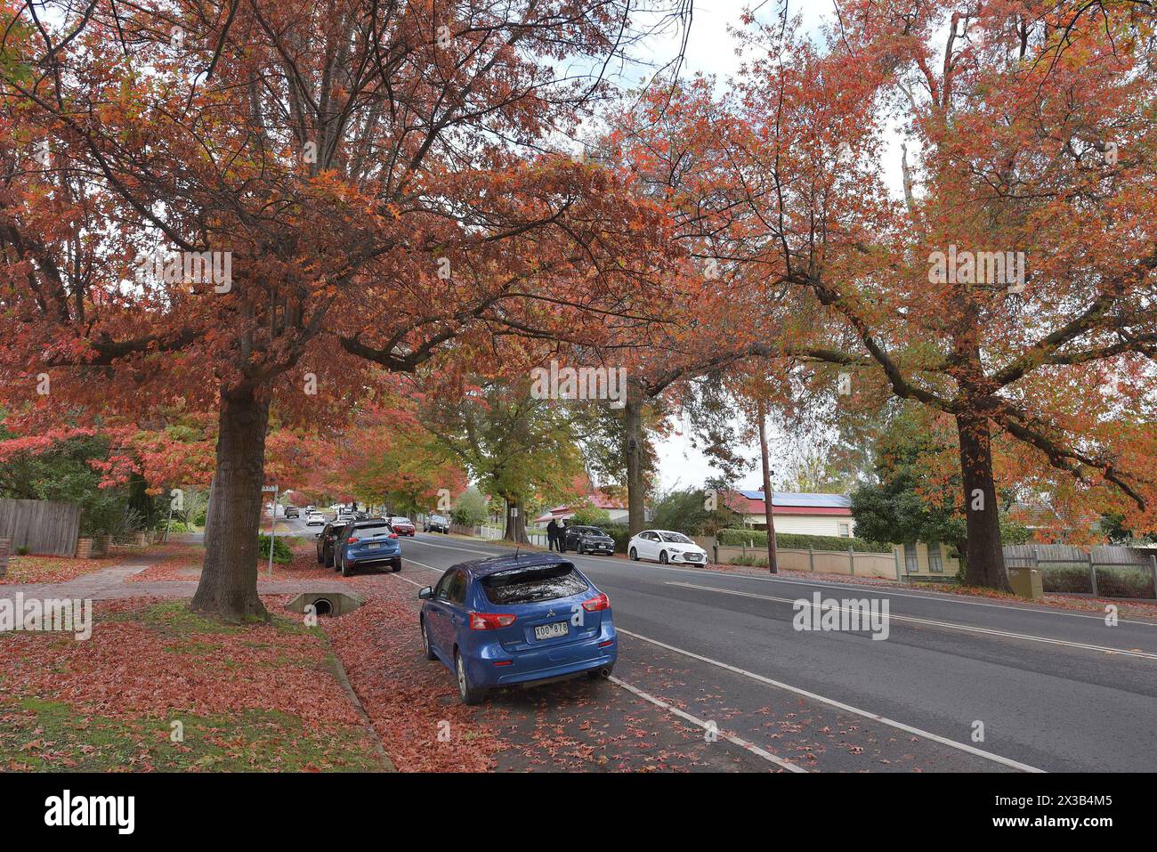 Melnourne, Victoria, Australia. 25th Apr, 2024. People visiting at ...