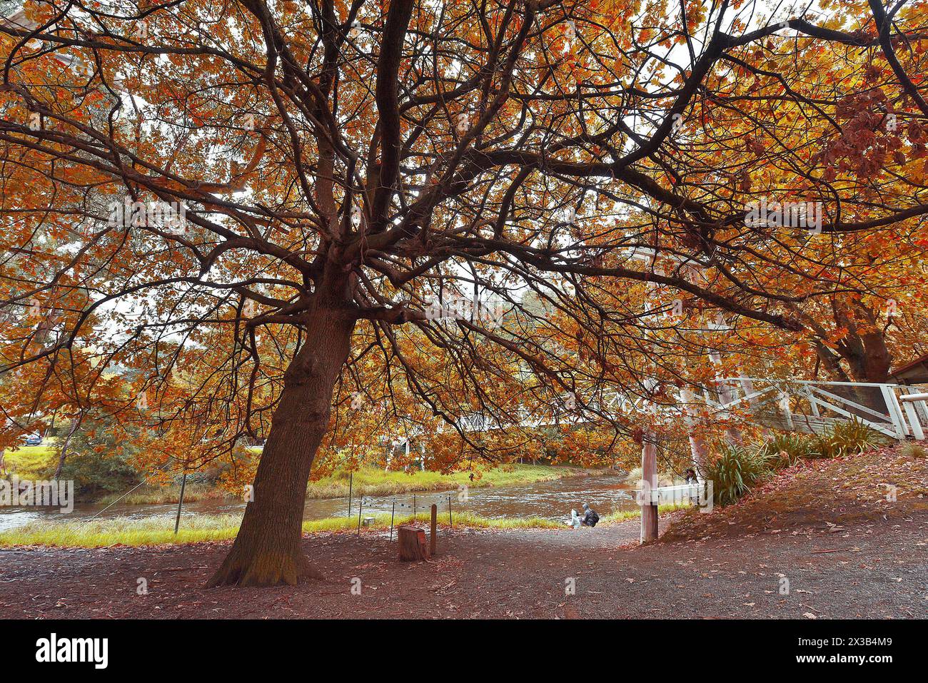 Melnourne, Victoria, Australia. 25th Apr, 2024. People visiting at ...