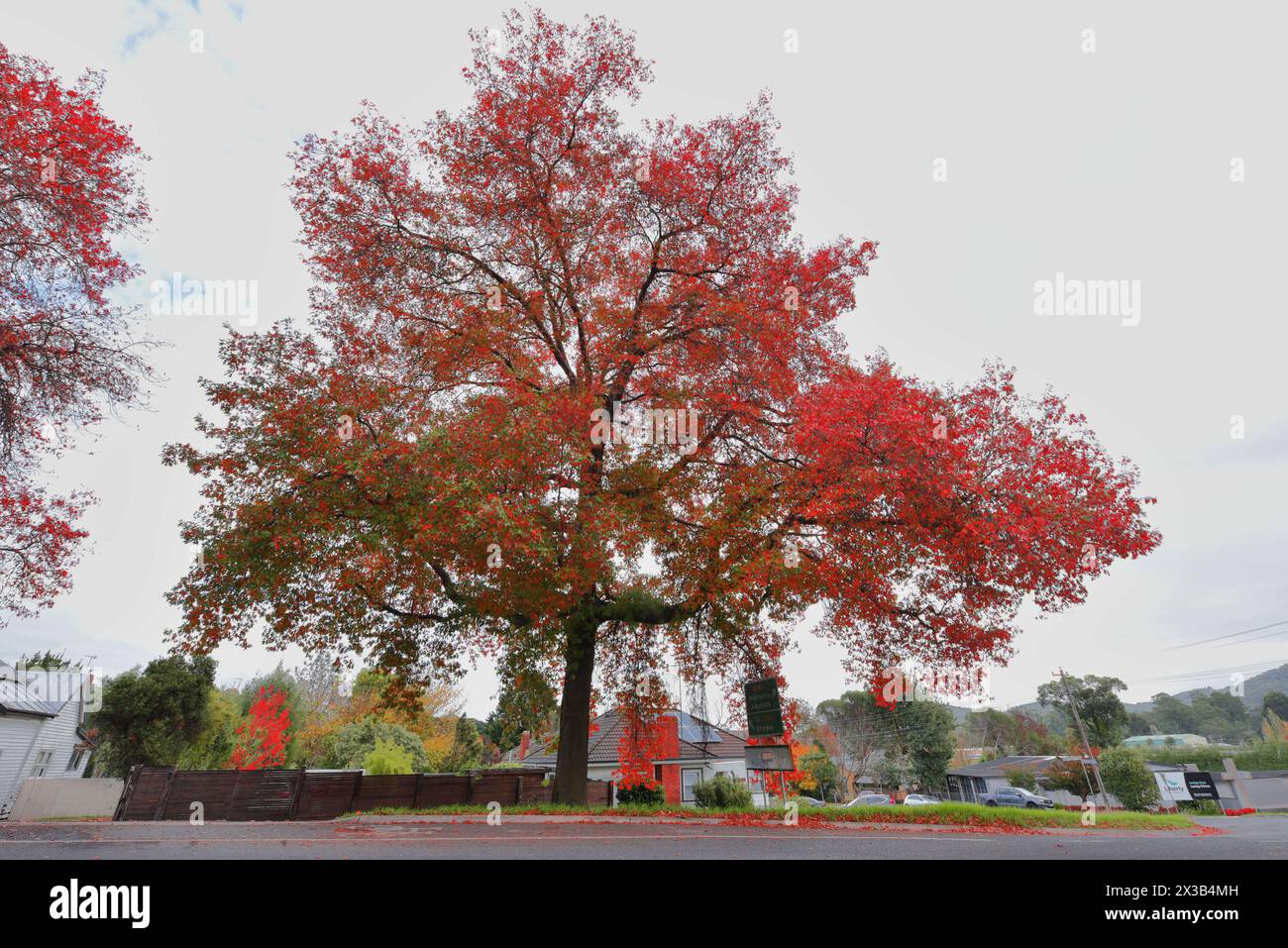 Melnourne, Victoria, Australia. 25th Apr, 2024. People visiting at ...