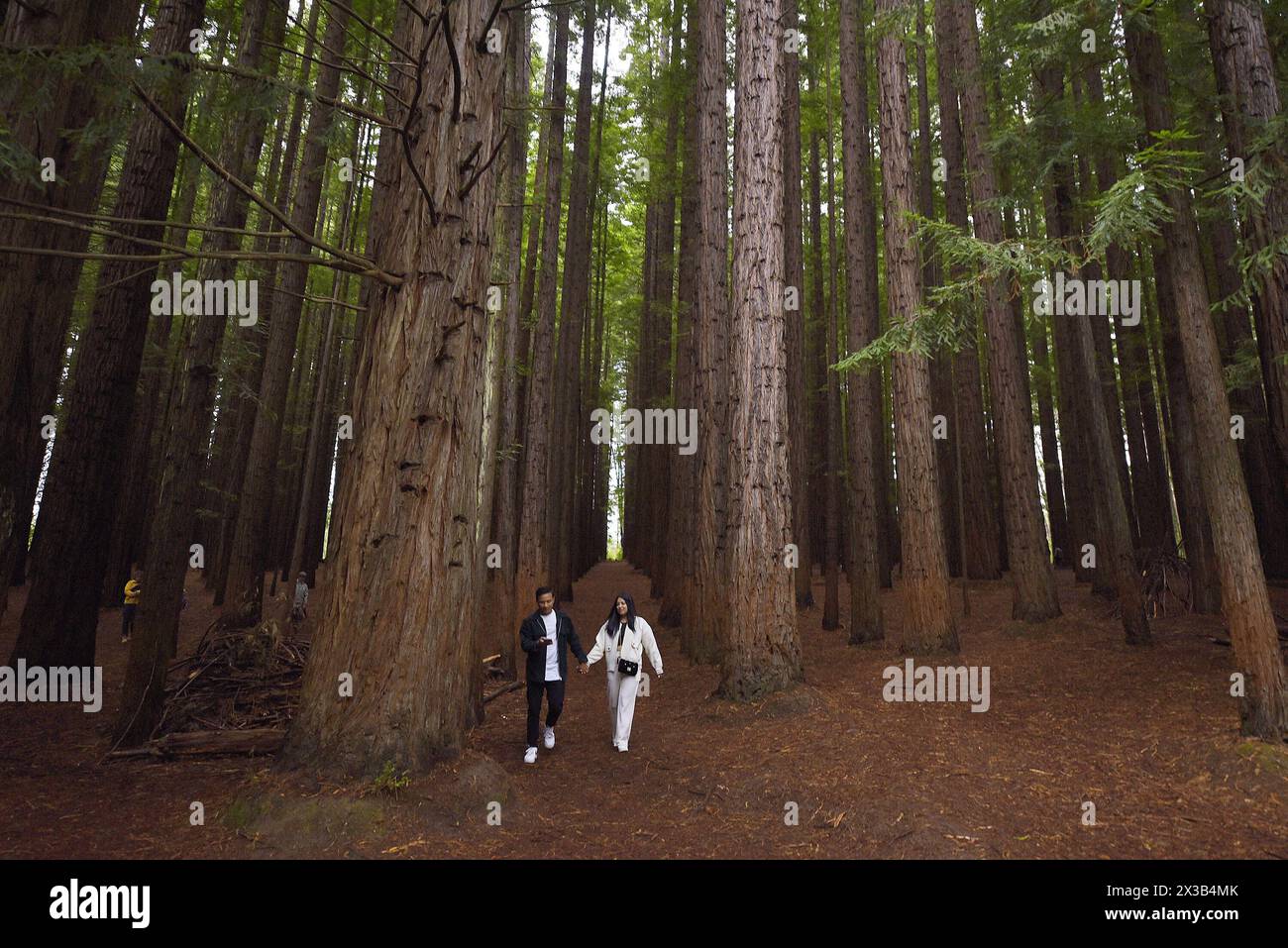 Melnourne, Victoria, Australia. 25th Apr, 2024. People visiting at ...