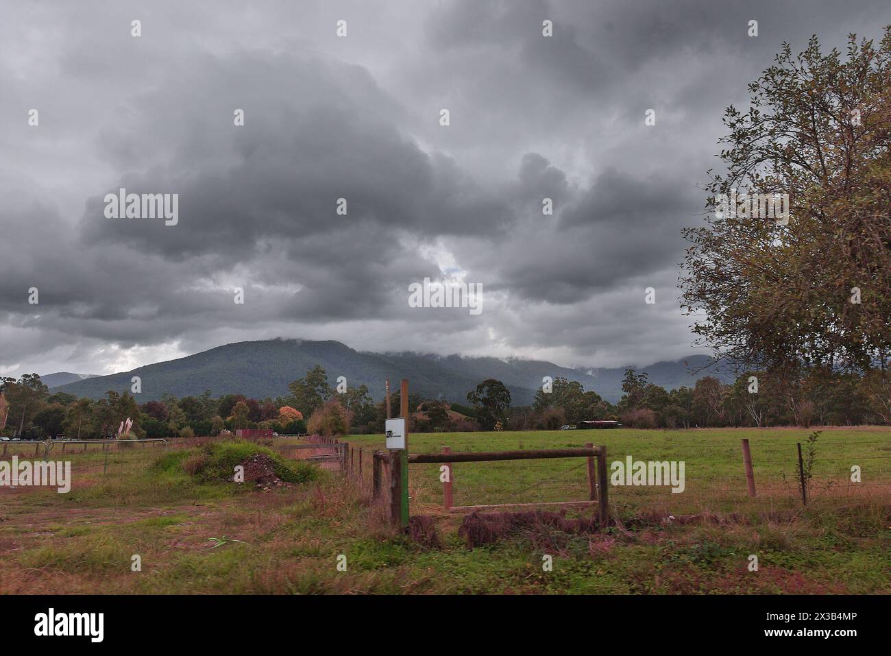 Melnourne, Victoria, Australia. 25th Apr, 2024. People visiting at ...