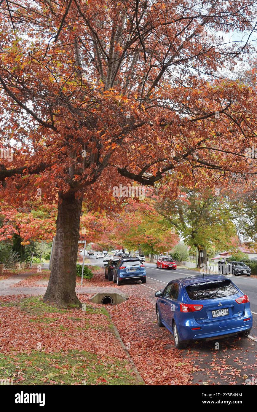 Melnourne, Victoria, Australia. 25th Apr, 2024. People visiting at ...