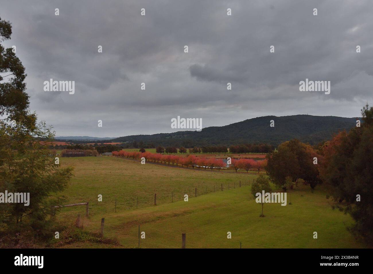 Melnourne, Victoria, Australia. 25th Apr, 2024. People visiting at ...