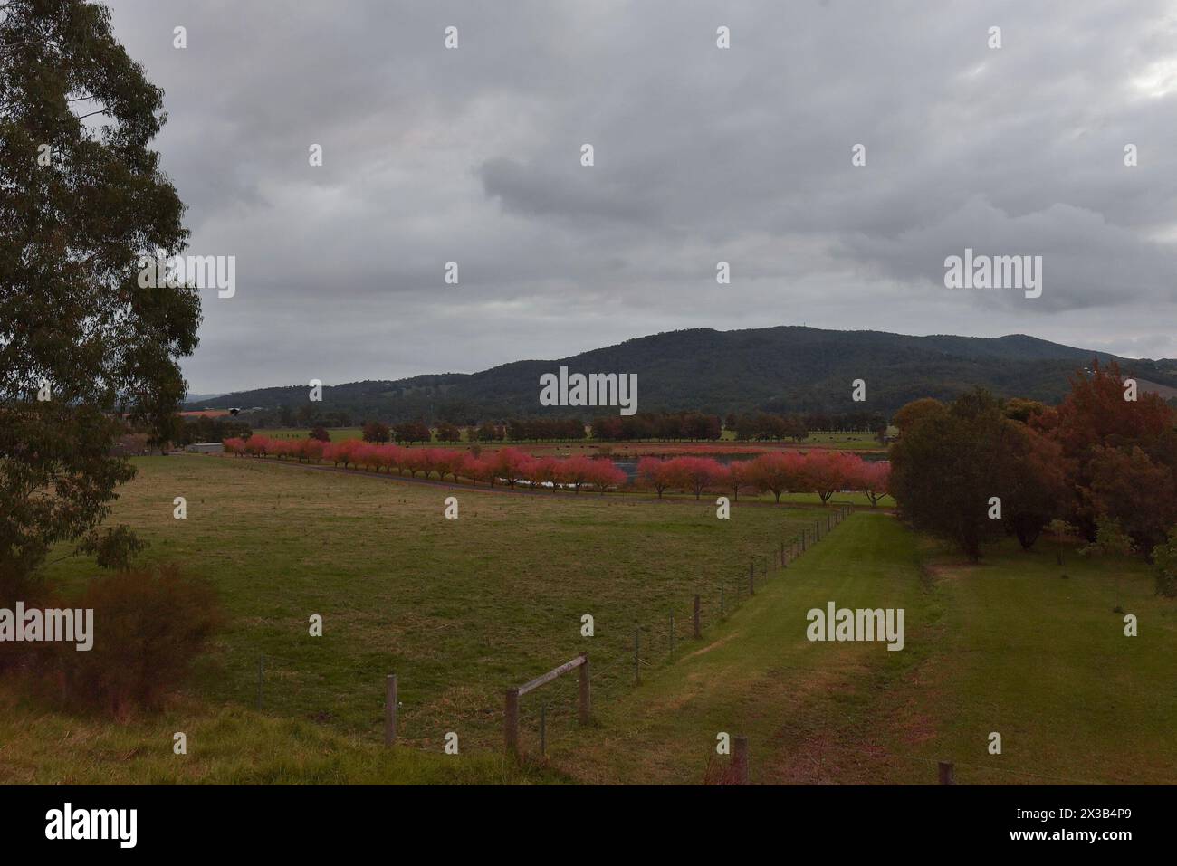 Melnourne, Victoria, Australia. 25th Apr, 2024. People visiting at ...