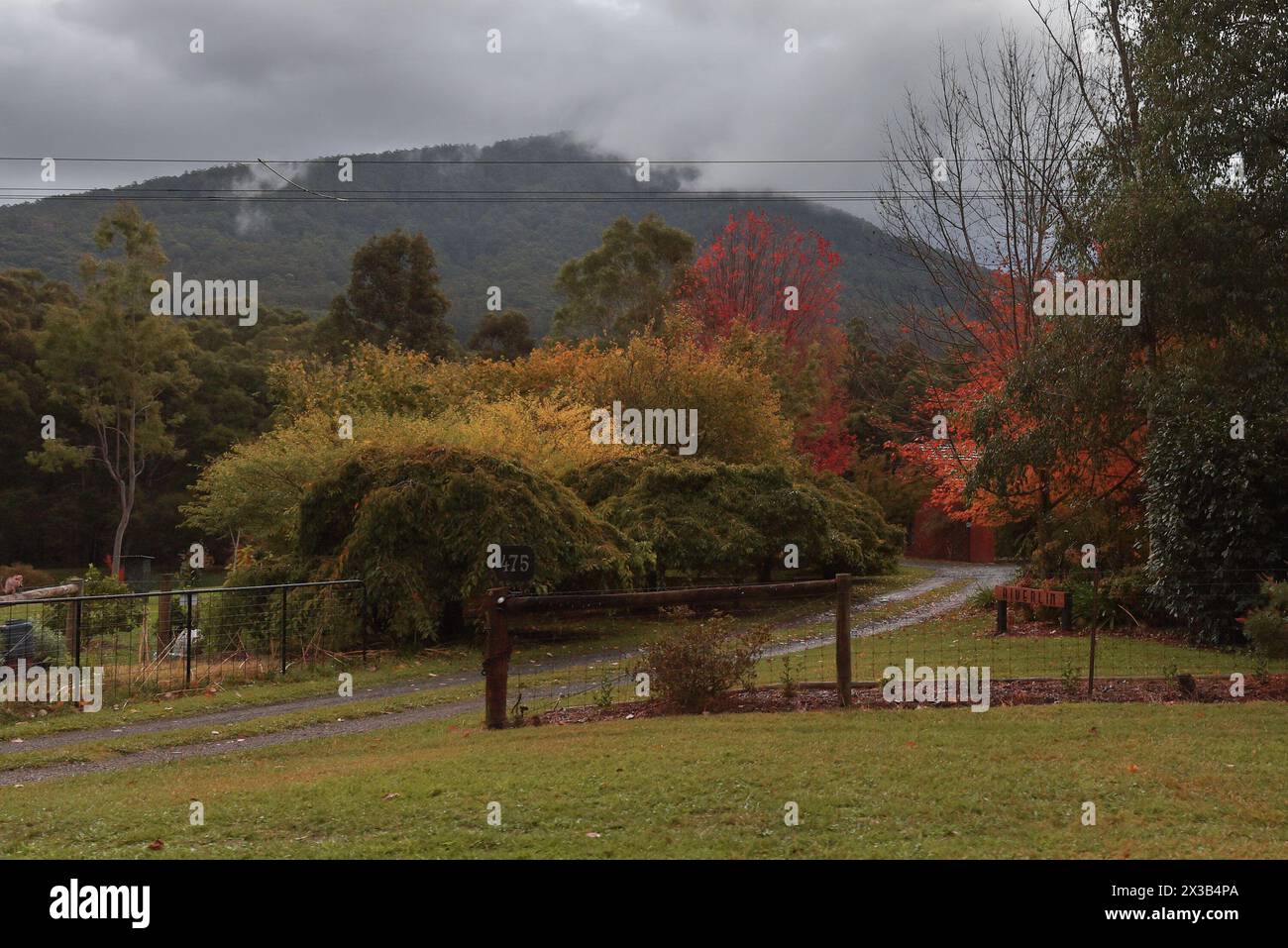 Yarra ranges national park hi-res stock photography and images - Alamy