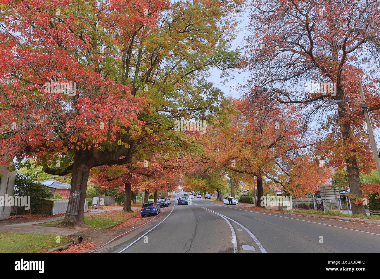 Melnourne, Victoria, Australia. 25th Apr, 2024. People visiting at ...