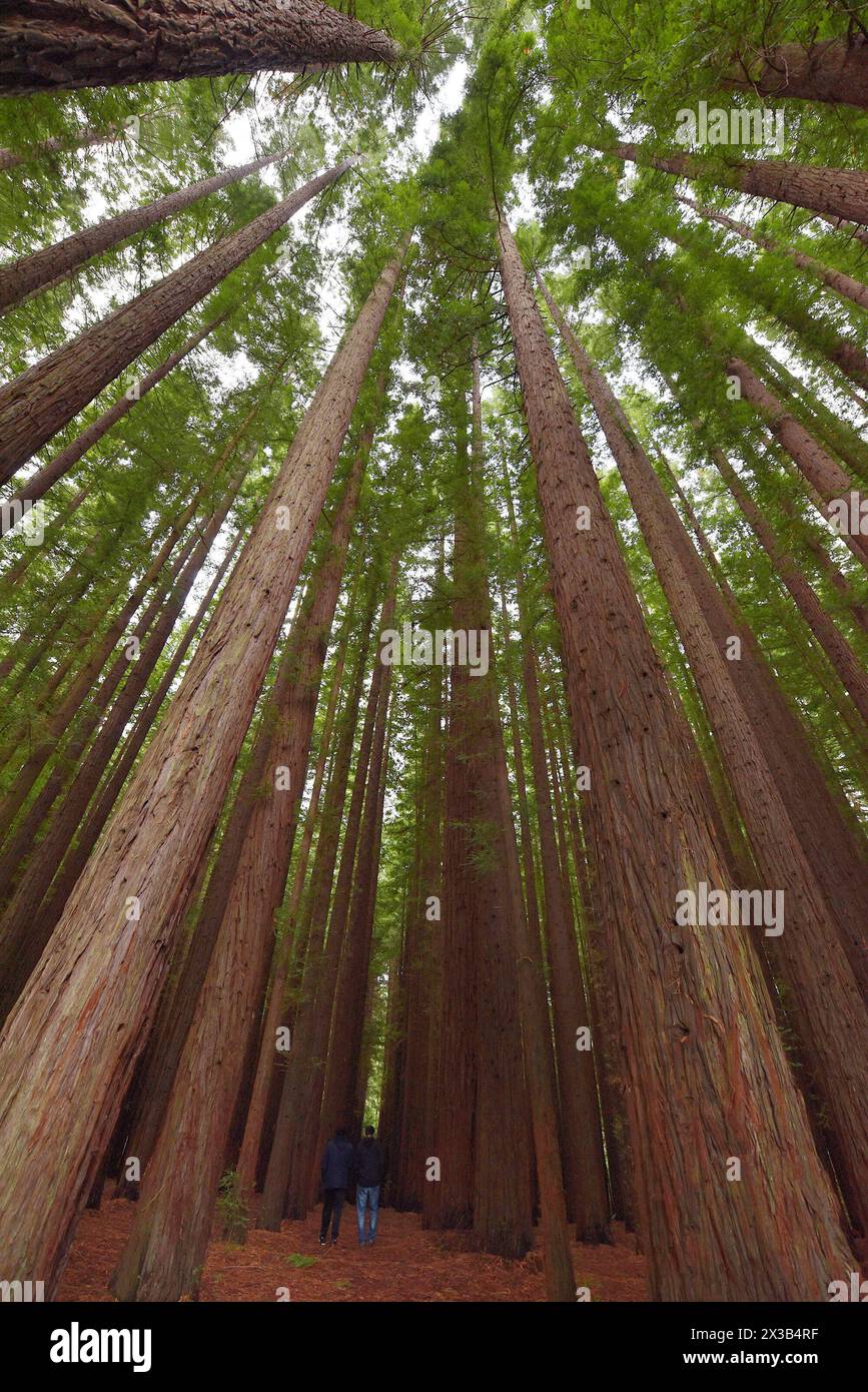Melnourne, Victoria, Australia. 25th Apr, 2024. People visiting at ...