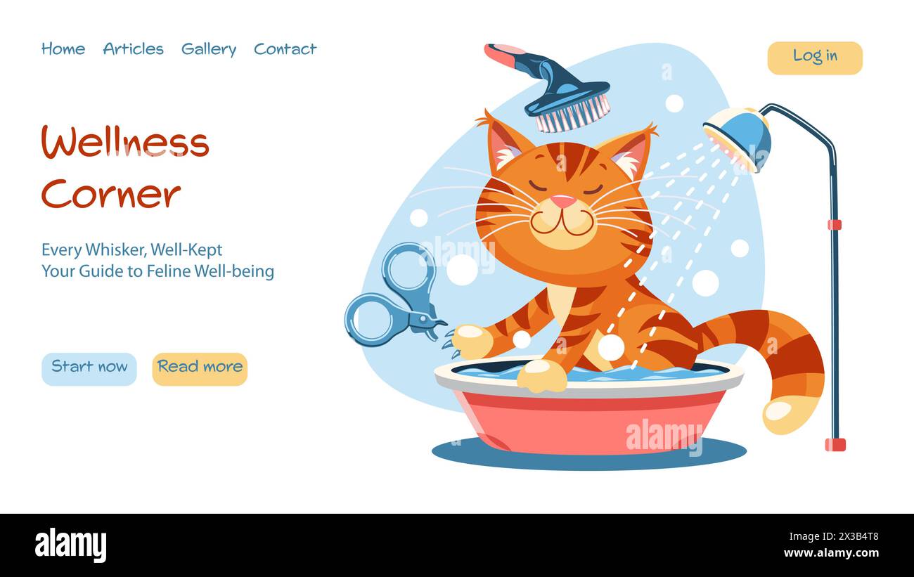 Modern vector concepts for website - cat hygiene and grooming Stock ...