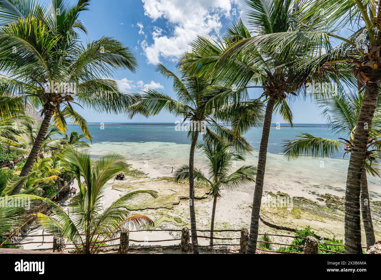 Beautiful tropical coast of mombasa in Kenya. tall coconut trees on the ...