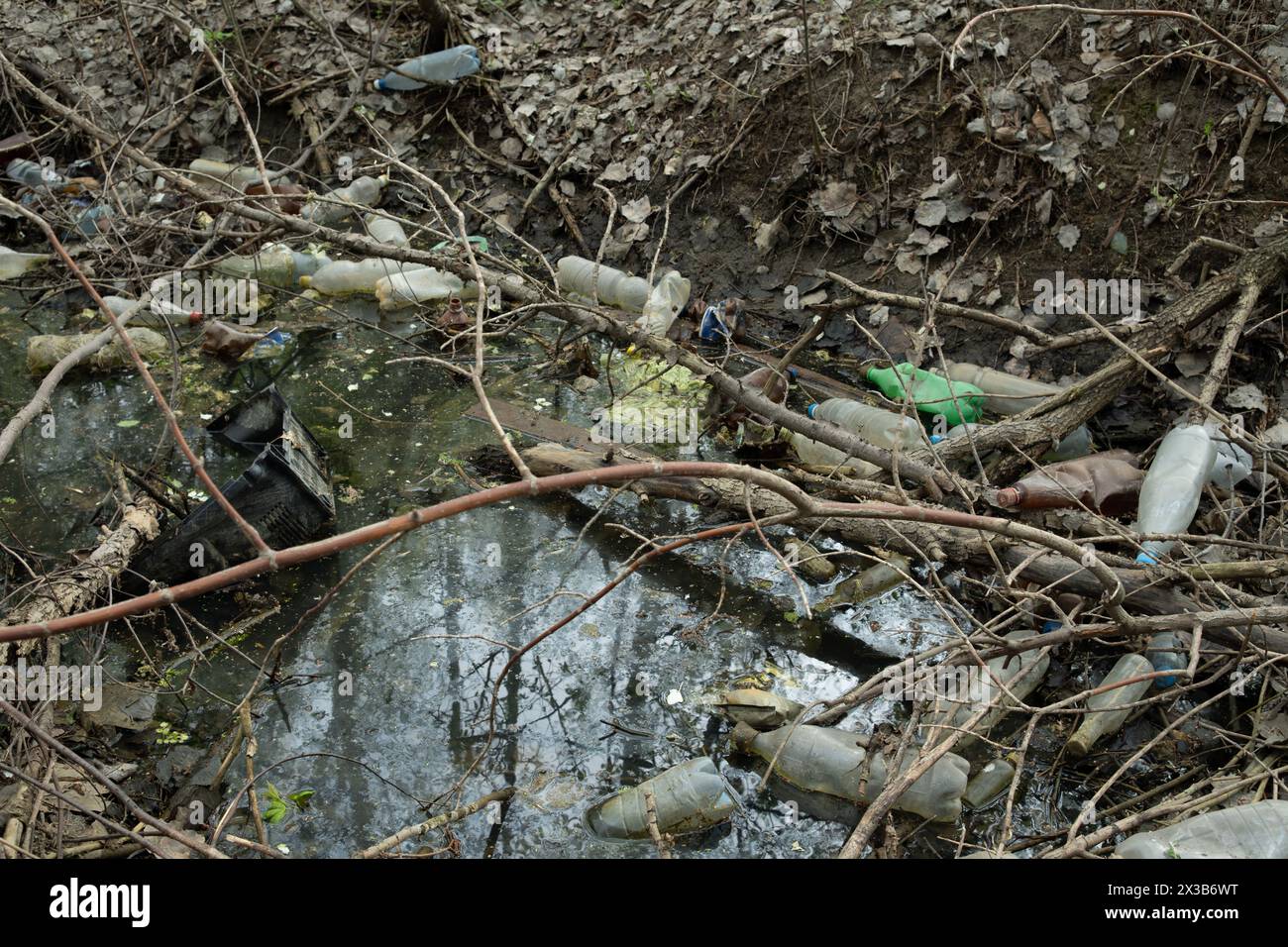 Plastic waste in the forest. Pollution of the environment Stock Photo ...