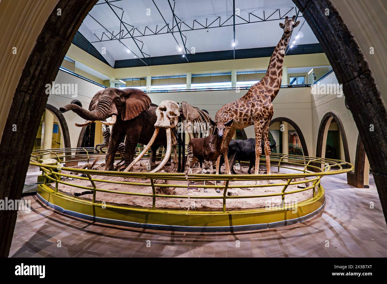 NAIROBI, KENYA February 17, 2024: Centre attraction of the Animal ...