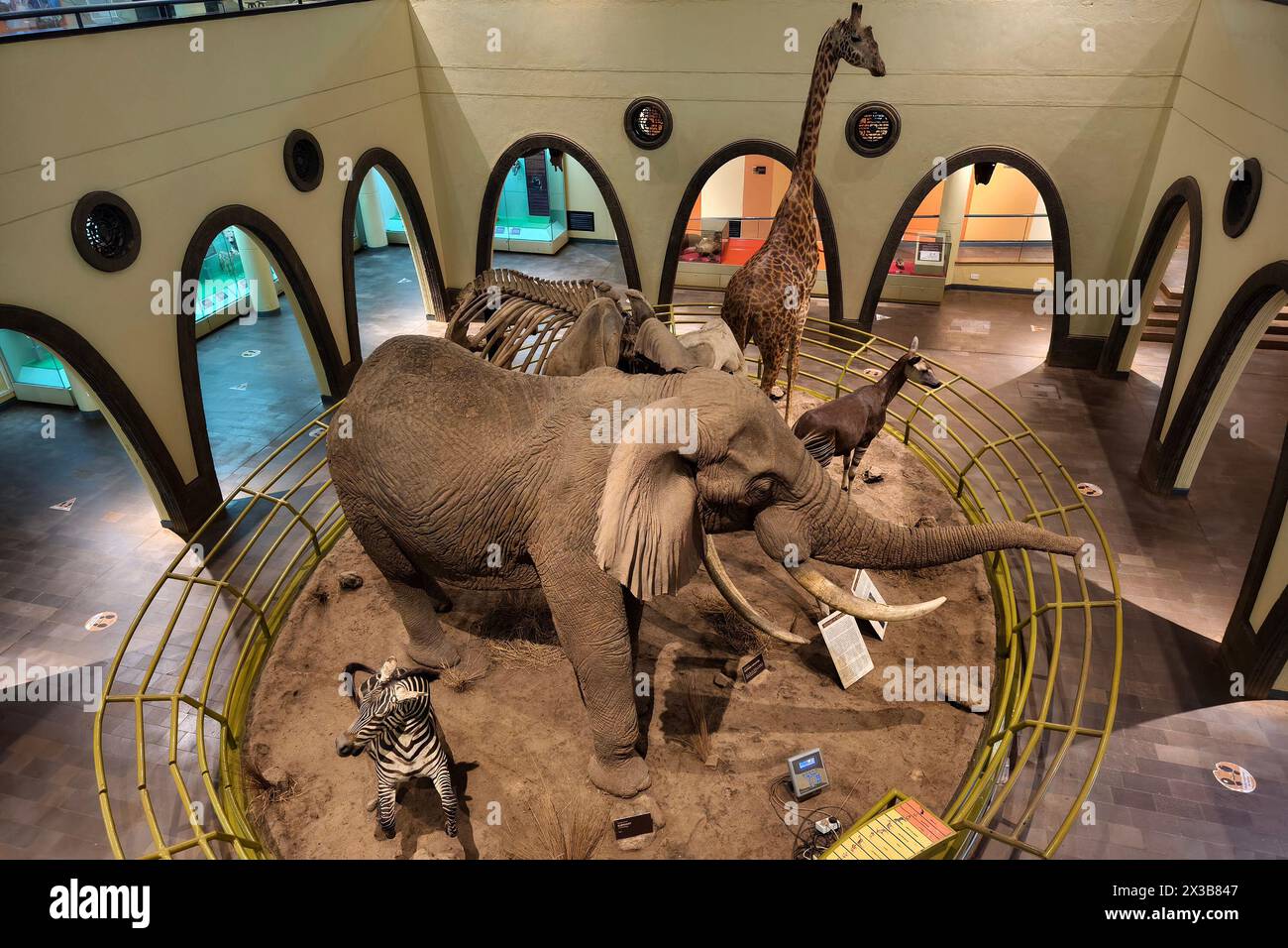 NAIROBI, KENYA February 17, 2024: museum exhibits dedicated to the ...