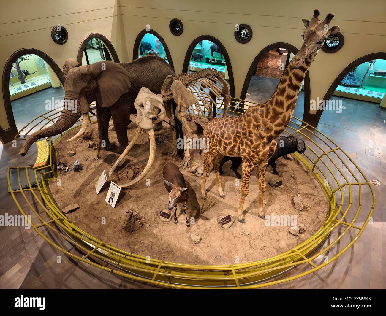 NAIROBI, KENYA February 17, 2024: museum exhibits dedicated to the ...