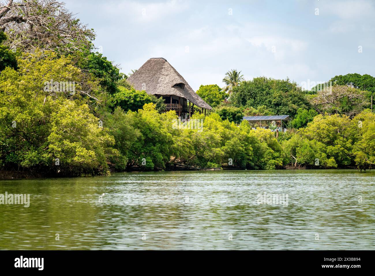 the coast of the Congo river with green trees and houses with ...