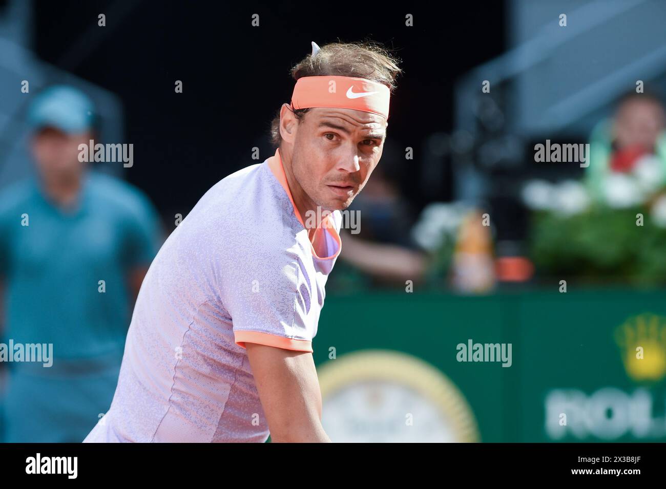 Darwin blanch hi-res stock photography and images - Alamy