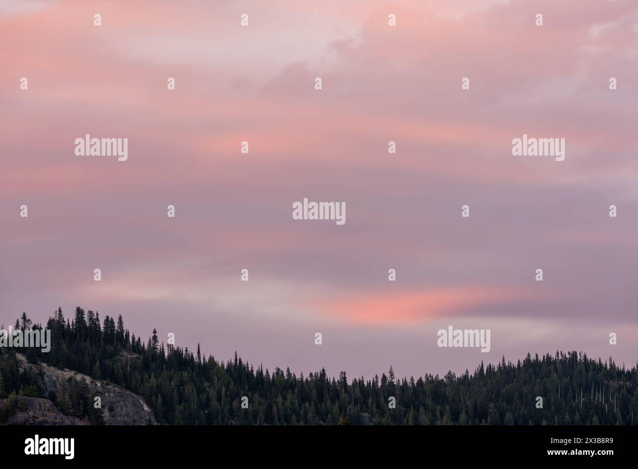 Faint pink highlights hi-res stock photography and images - Alamy