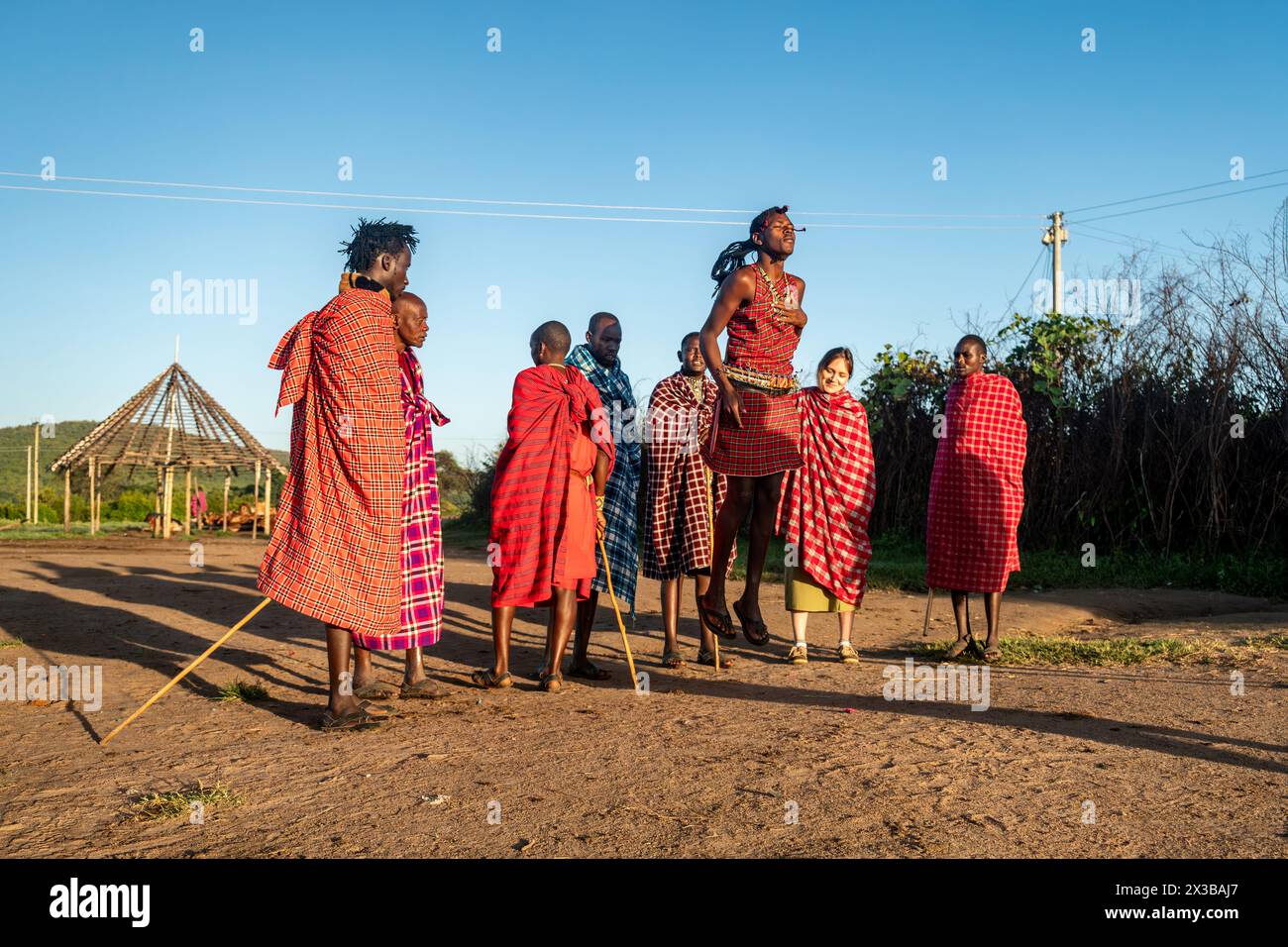 February 4, 2024. Masai Mara National Park. Kenya.: Group of ...
