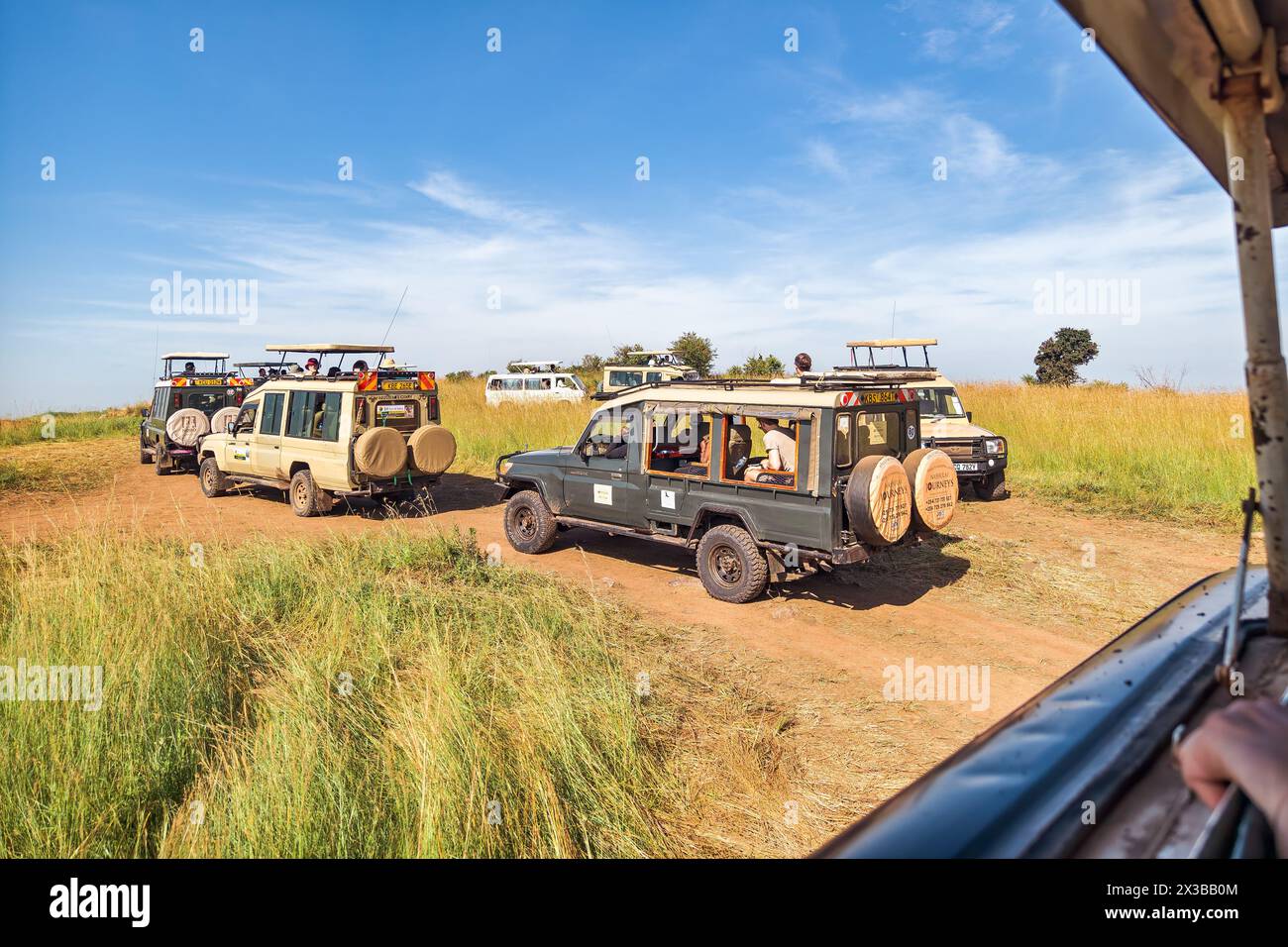 February 3, 2024. Masai Mara National Park, Kenya. Tourists in a safari ...