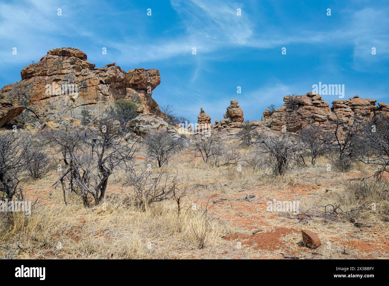 Landscape with kopje, or rocky outcrop, Mashatu Game Reserve, Botswana ...