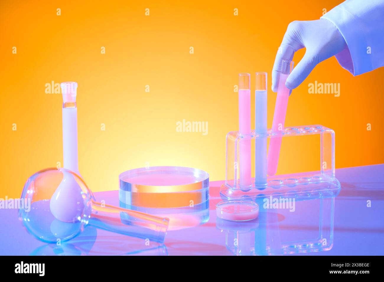 Glass podium in round shaped arranged with a petri dish, a flat-bottom ...