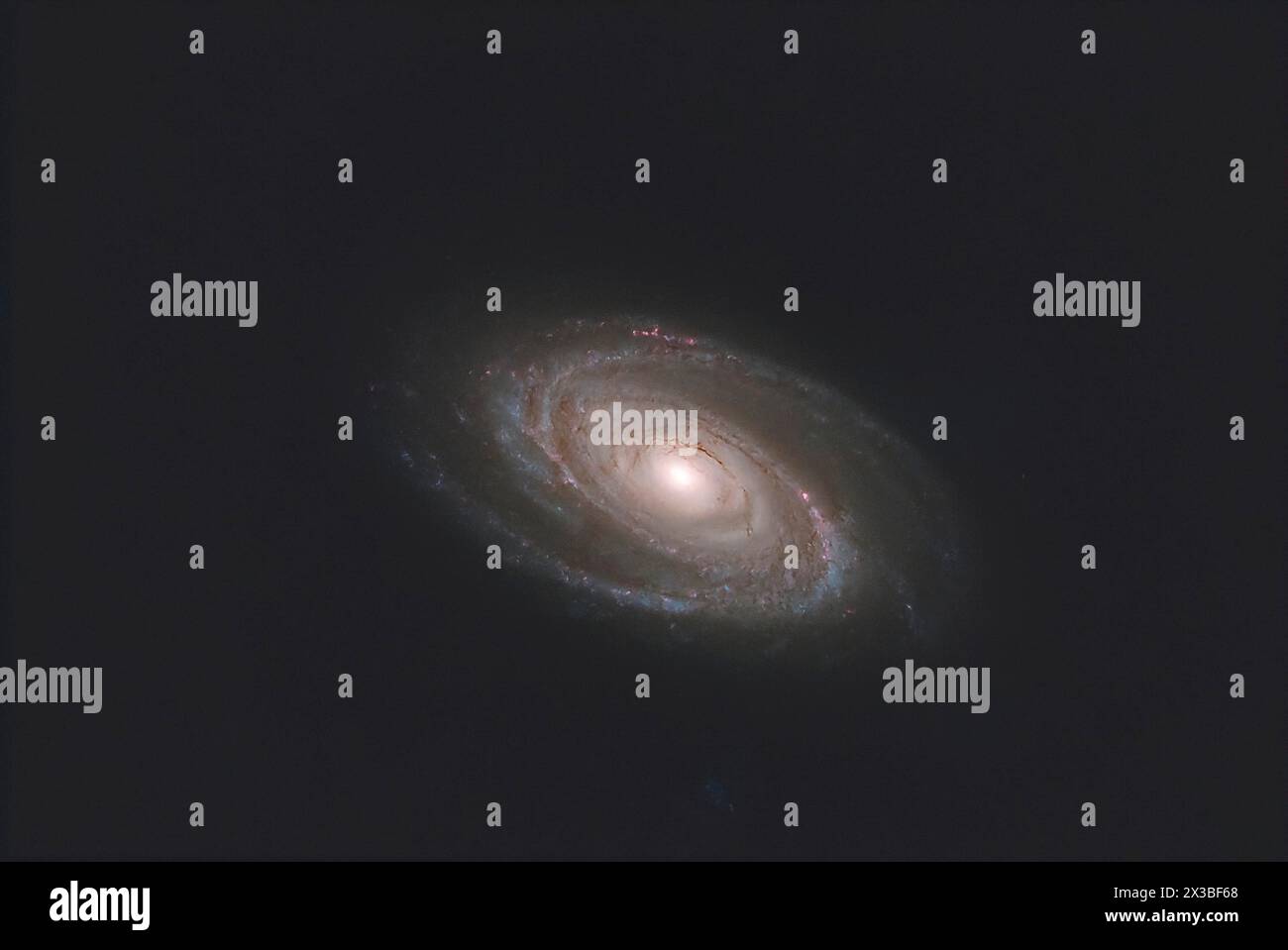 M81, NGC 3031, Bode's Galaxy in the constellation Ursa Major Stock Photo - Alamy