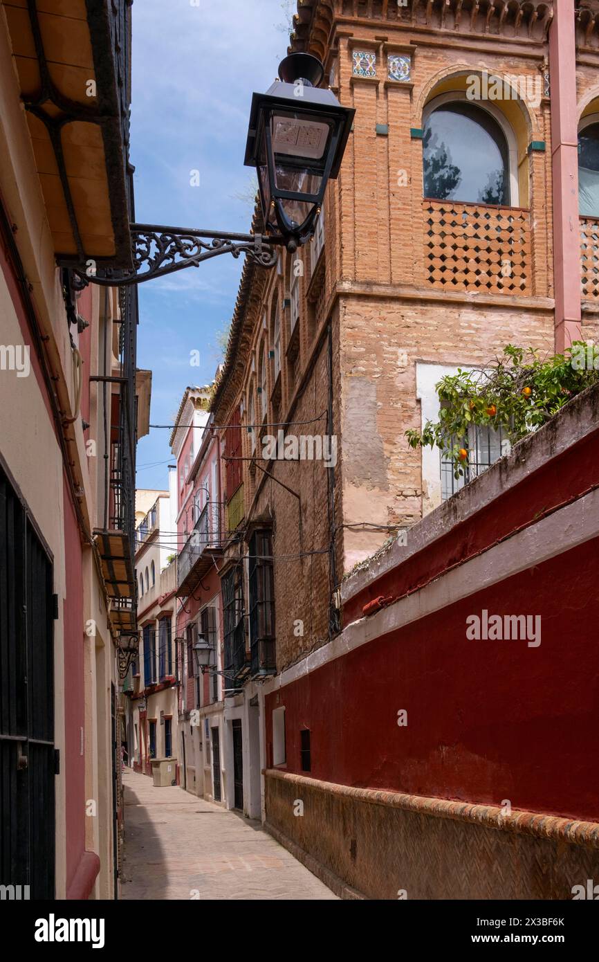 Picturesque alleyway flanked by tall, historical buildings and a ...