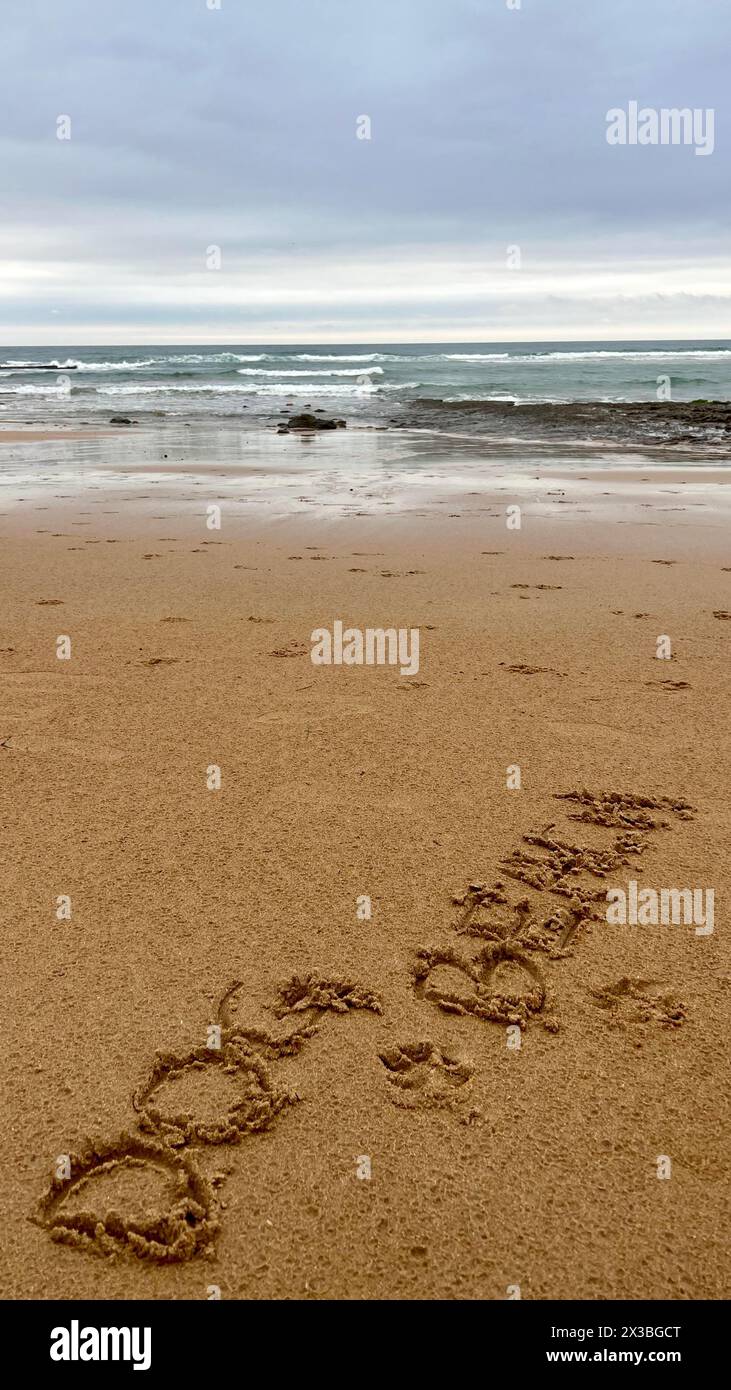 Vertical sea dress with the phrase dog beach written in the sand of the ...