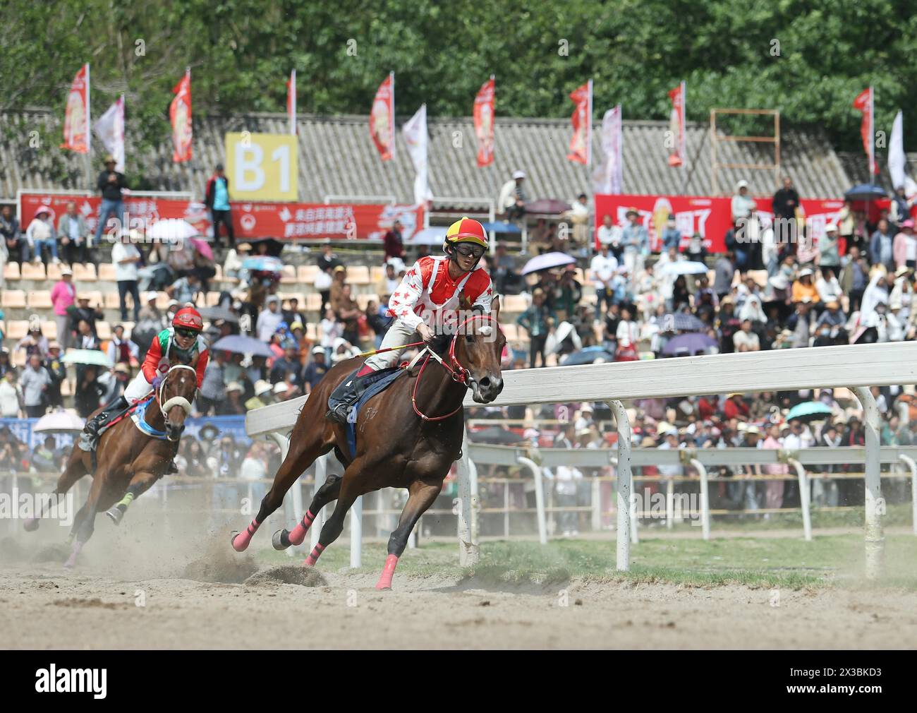 **CHINESE MAINLAND, HONG KONG, MACAU AND TAIWAN OUT** 126 racehorses ...